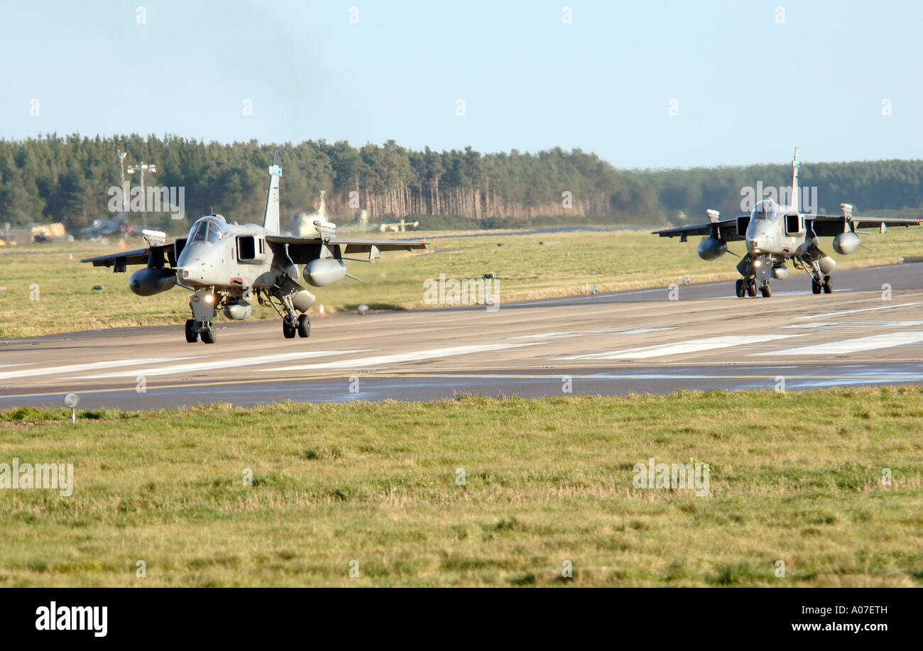The sepecat jaguar is an anglo french jet attack aircraft hi-res stock ...