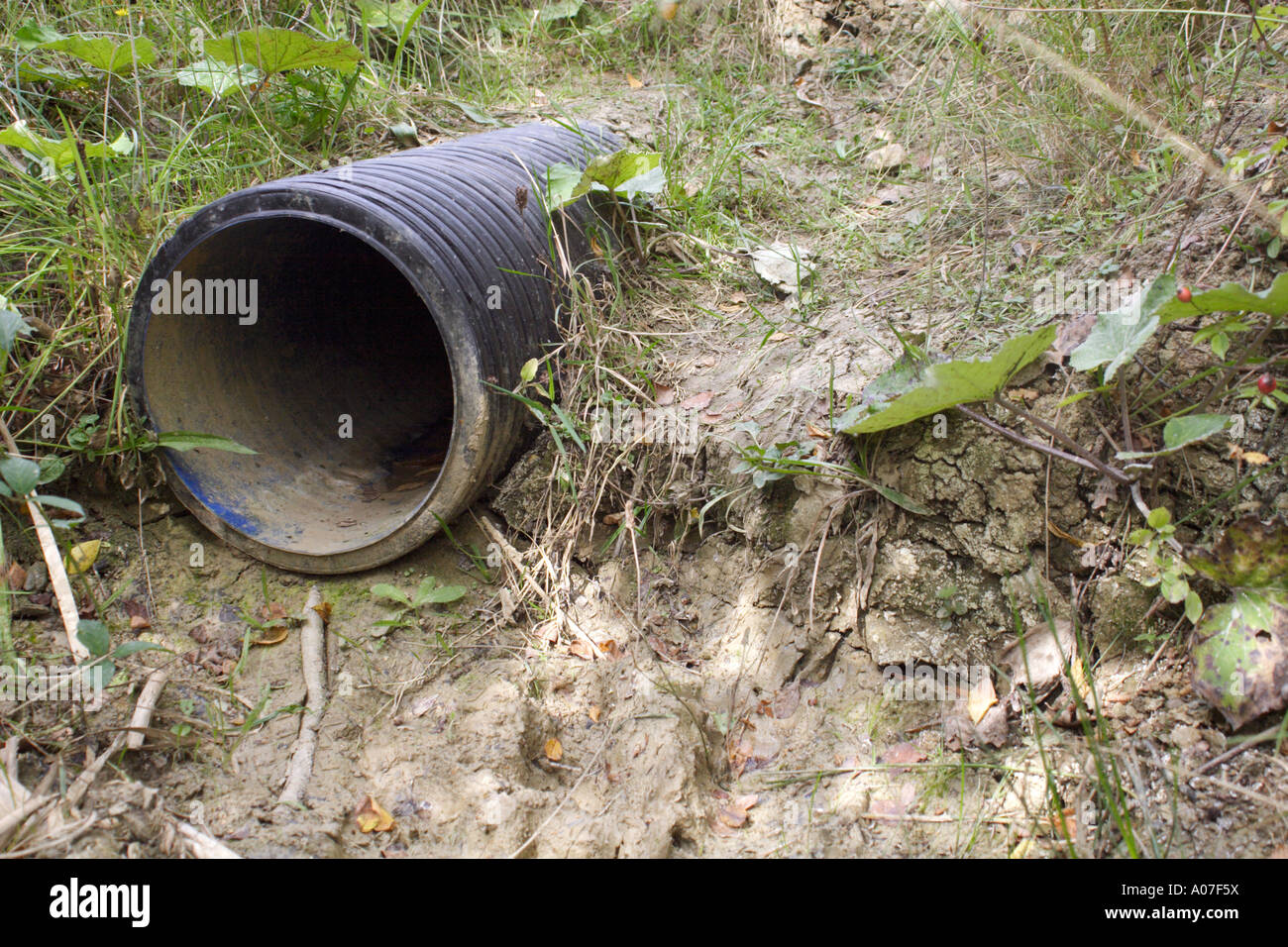 Drainage pipe into ditch, UK Stock Photo - Alamy