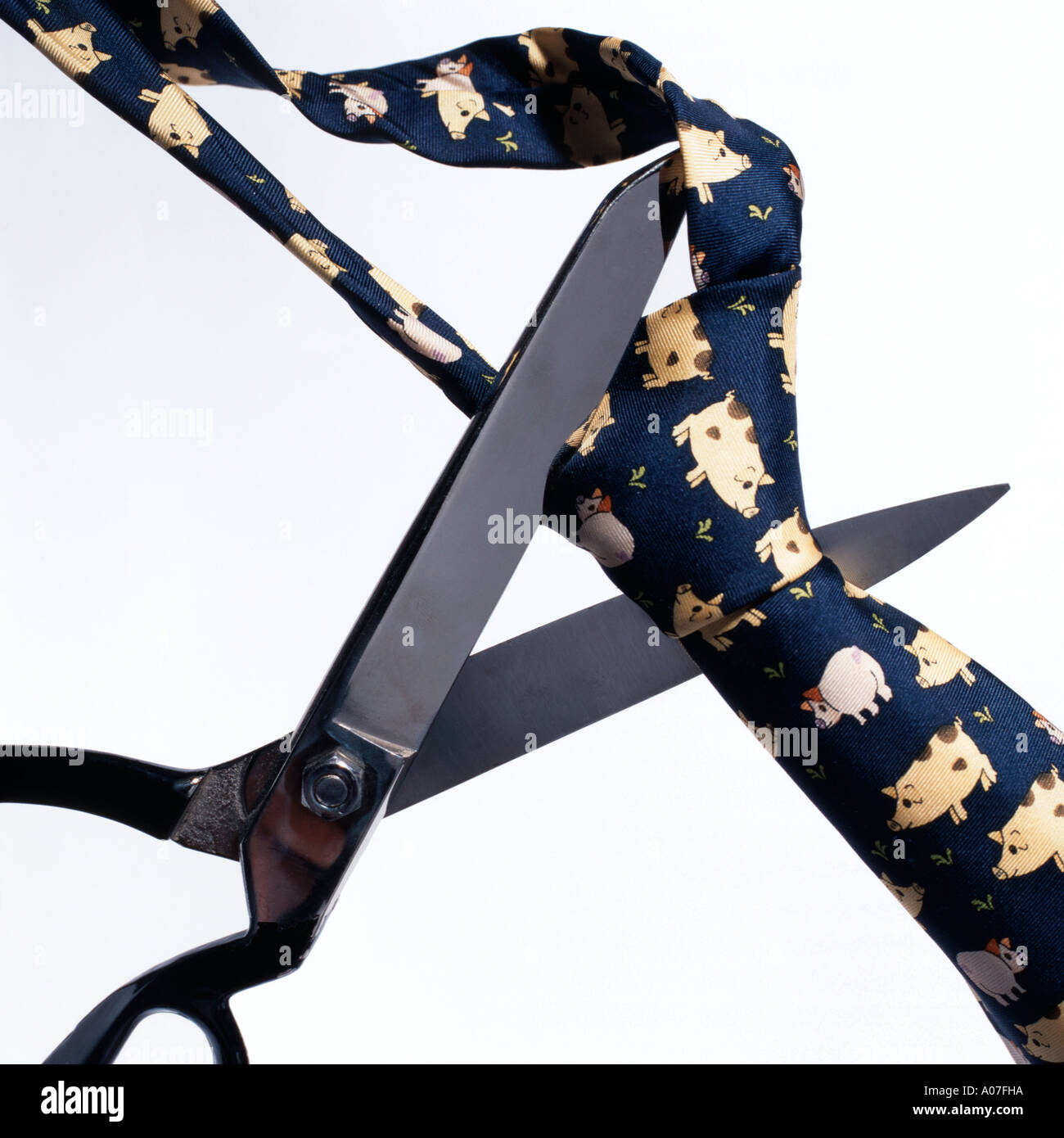 Pig Vicious High Resolution Stock Photography and Images - Alamy