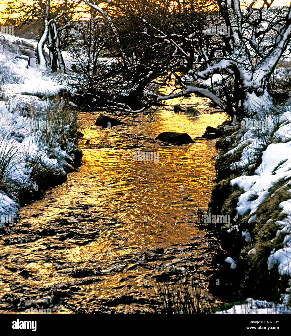 GOLDEN REFLECTION IN STREAM DERBYSHIRE ENGLAND Stock Photo - Alamy