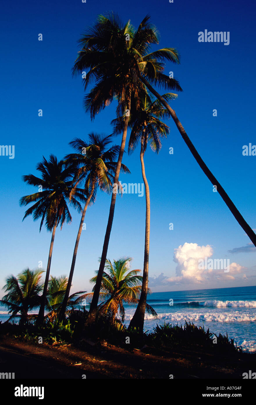 Coastal plains valley hi-res stock photography and images - Alamy