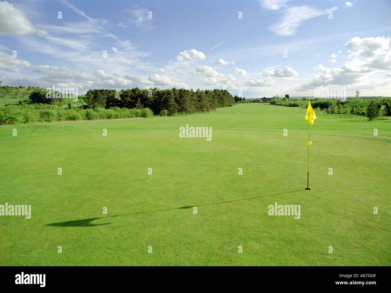 Golf course. Summer. Shot from the back of the green looking back up ...