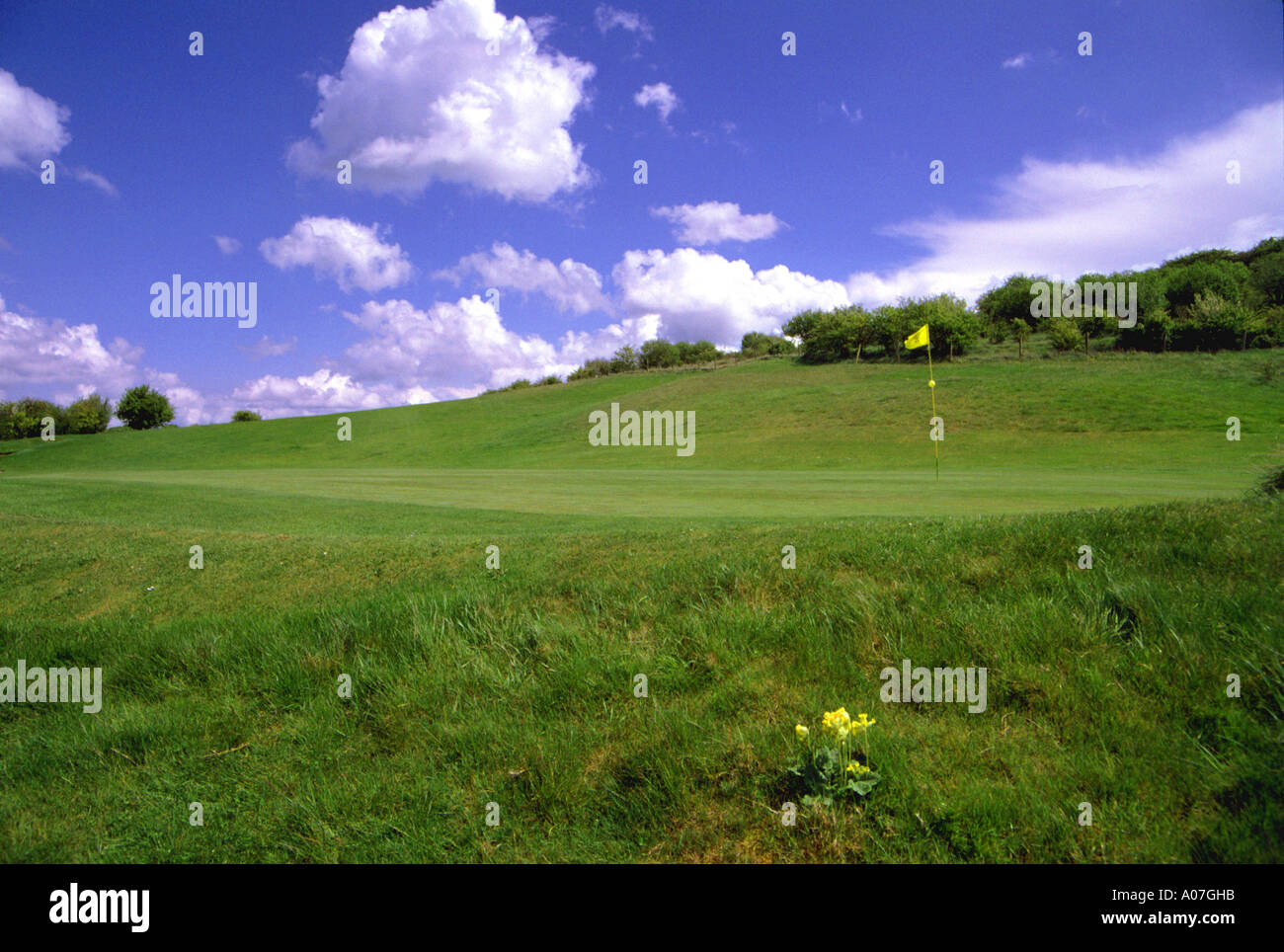 Idyllic golf course scene. Summer,blue sky,white clouds.Yellow flag ...