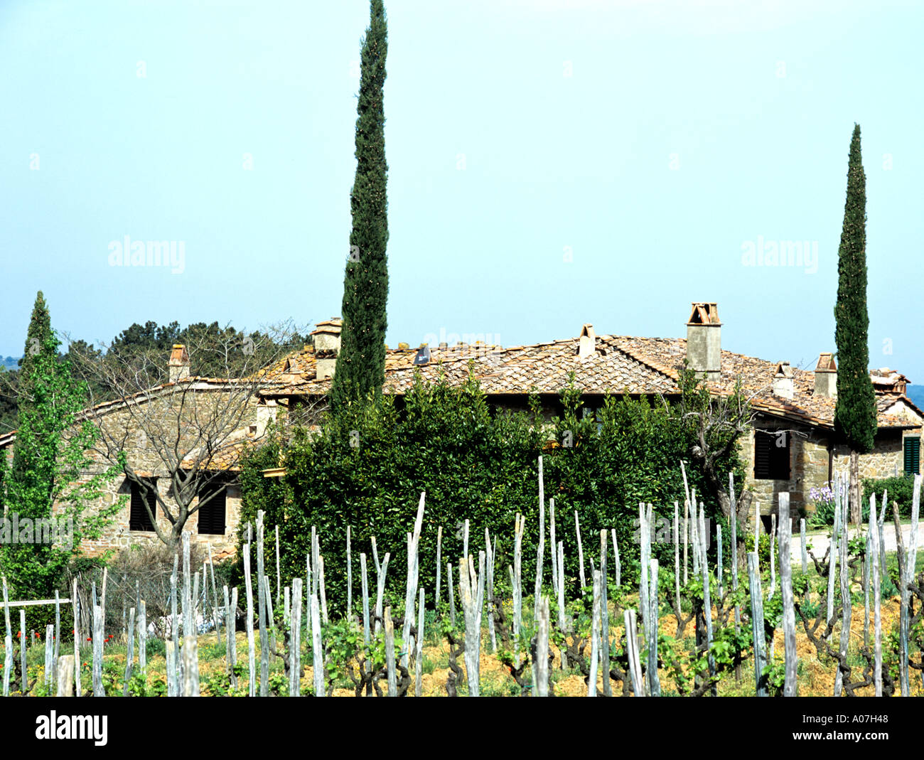 TUSCANY ITALY EUROPE May A typical farm in Chianti country surrounded ...