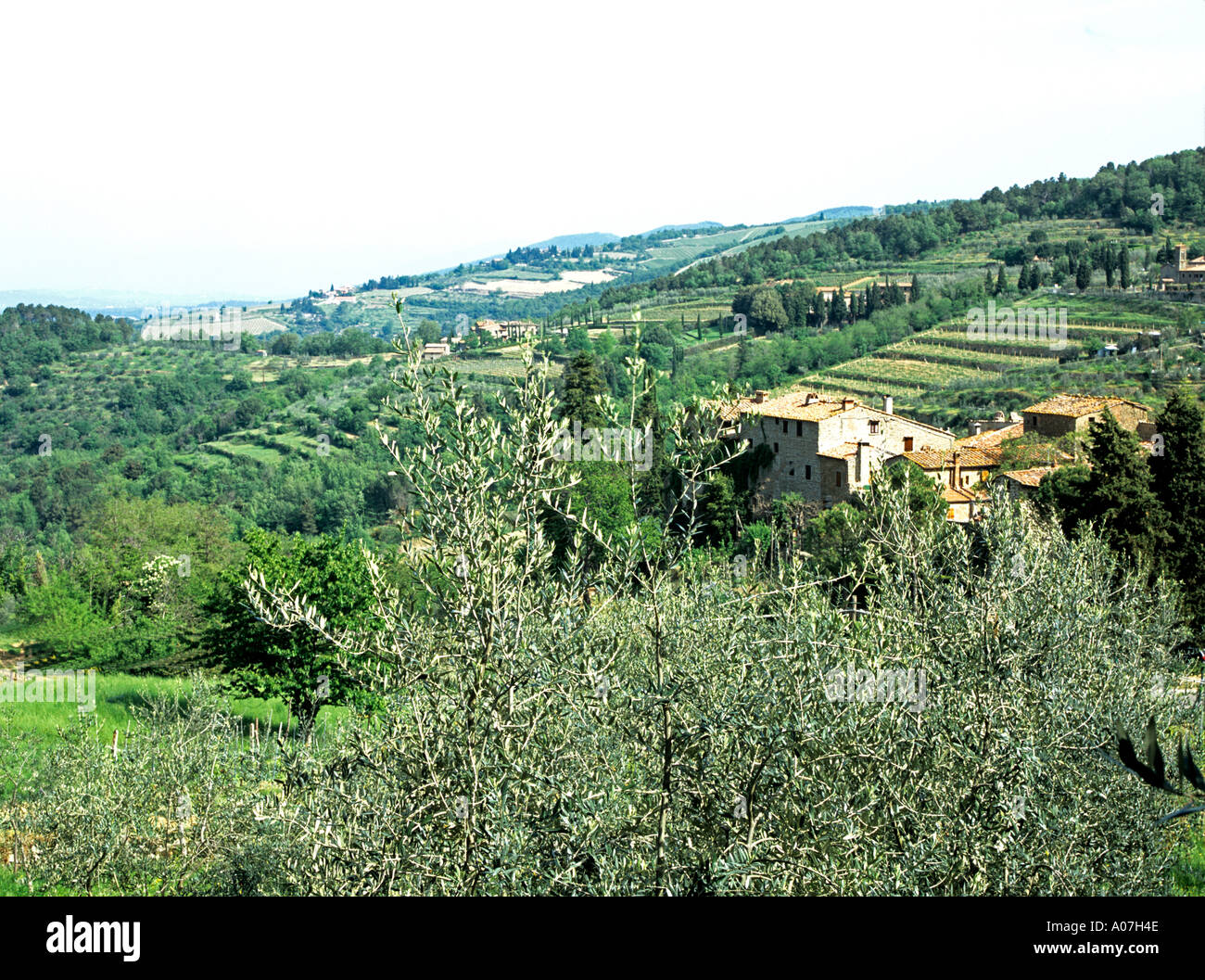 TUSCANY ITALY EUROPE May A typical farm in Chianti country surrounded ...