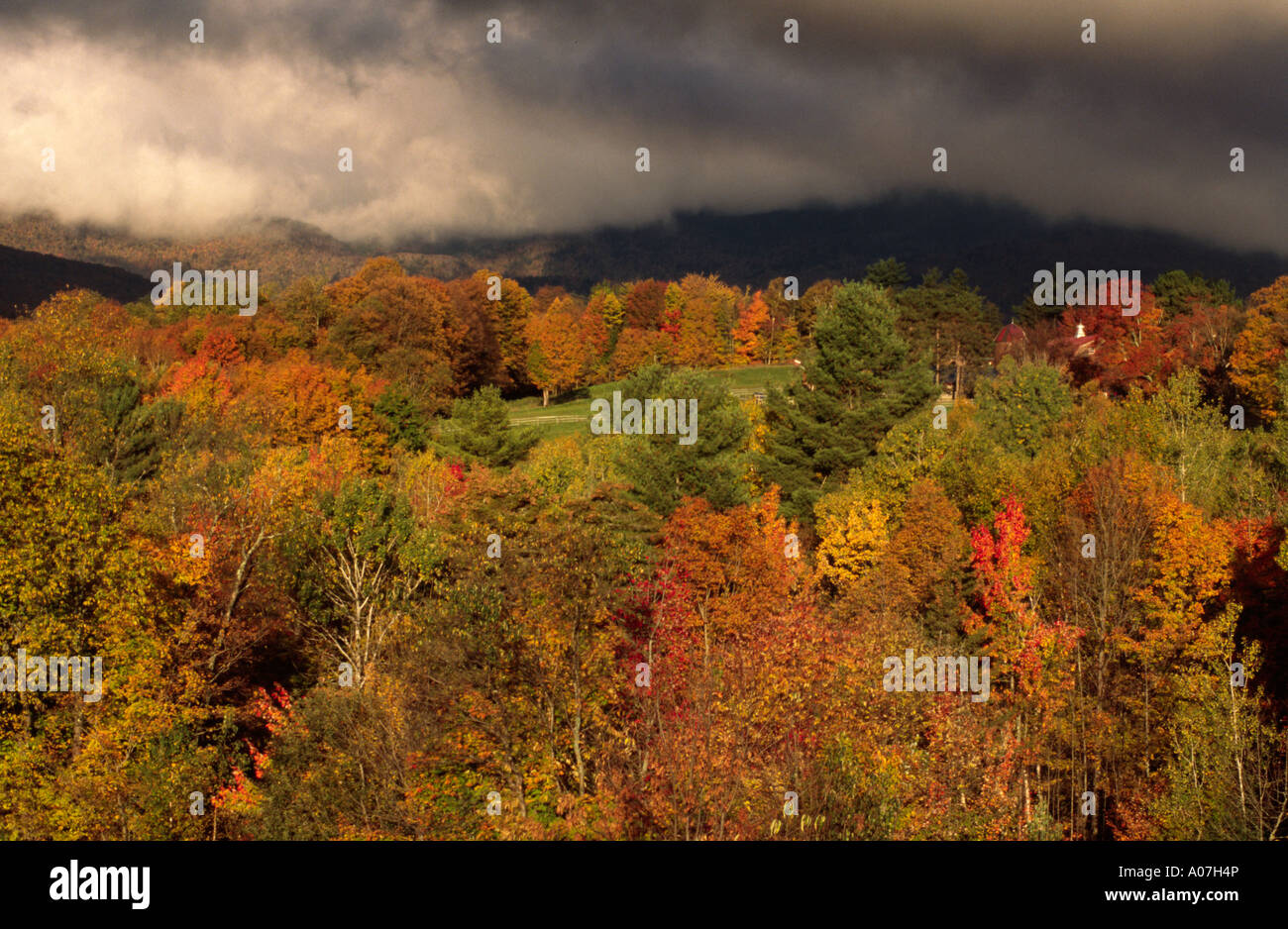 STORM OVER TREES IN FALL COLORS MOUNT MANSFIELD STOWE VERMONT Stock ...