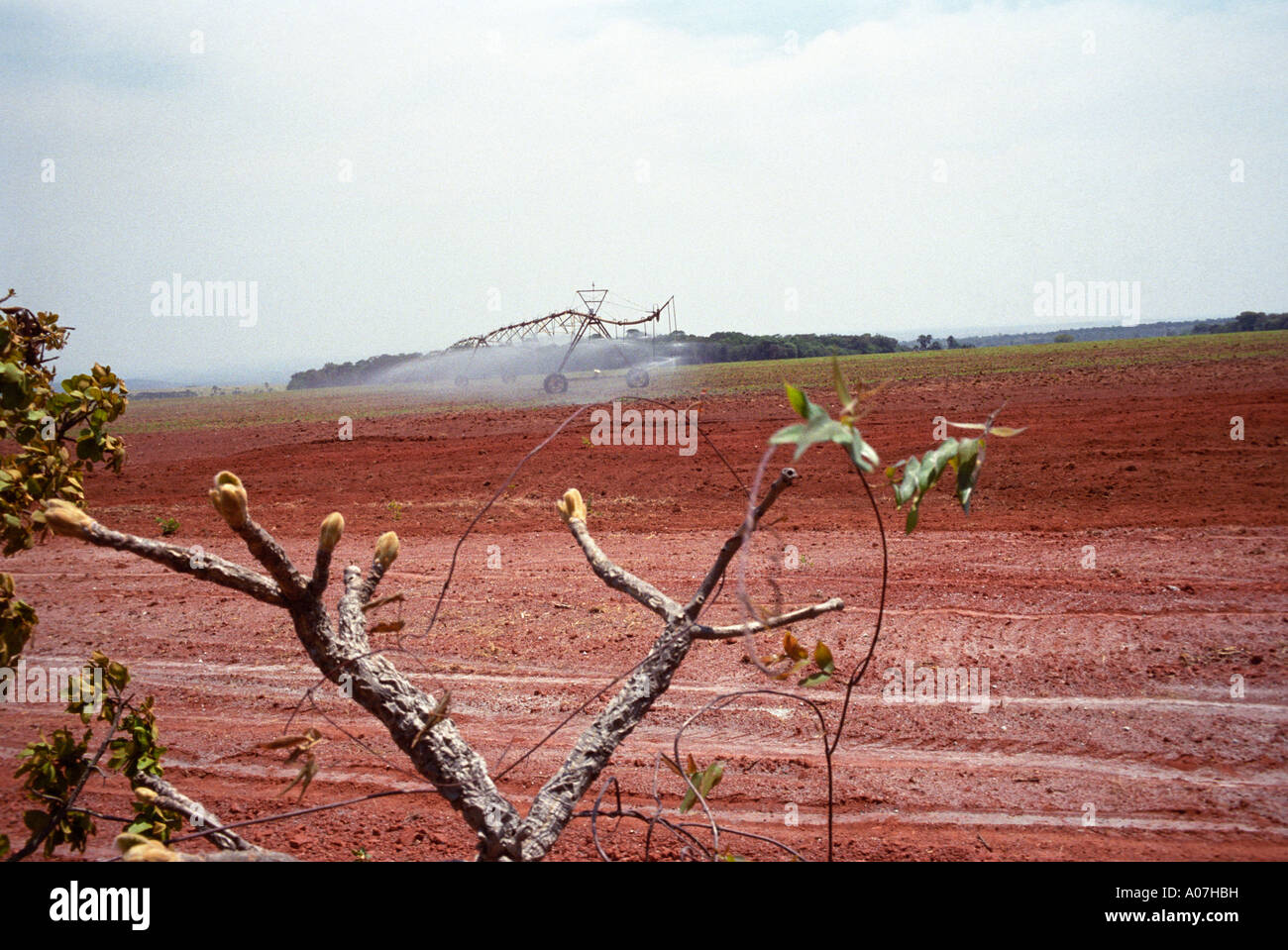 Cerrado deforestation hi-res stock photography and images - Alamy