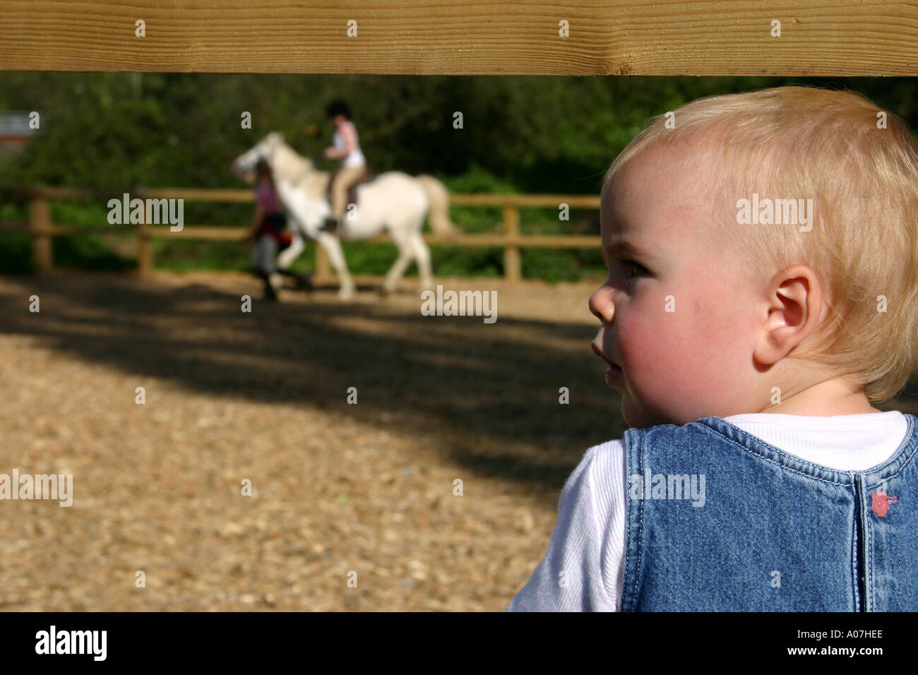 12 month old girl watching older girl having riding lesson at outdoor ...