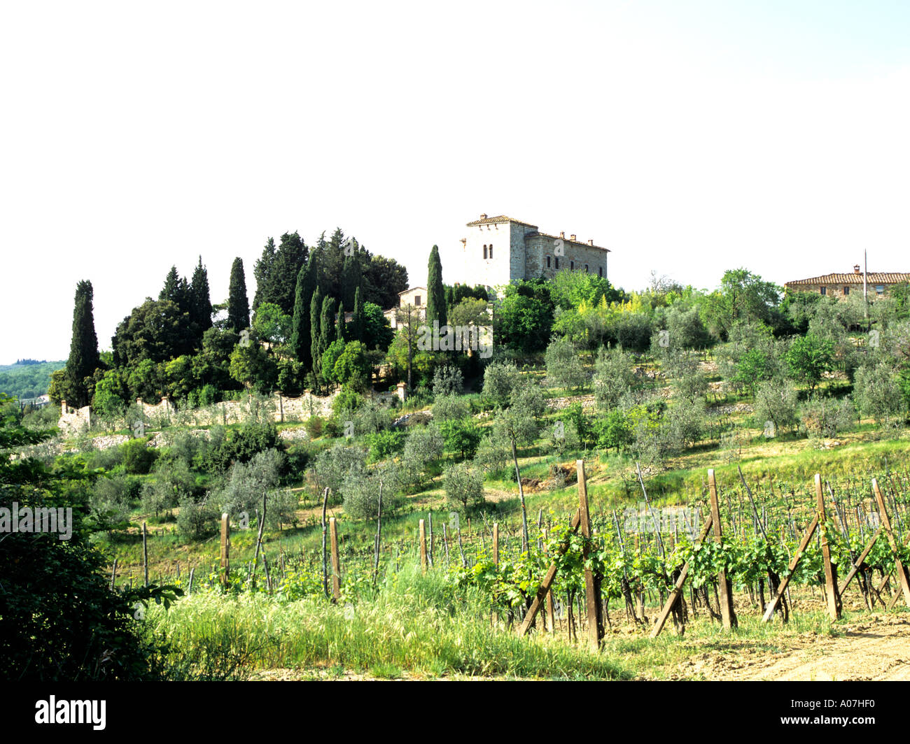 SAN LEONINO TUSCANY ITALY EUROPE May A typical farm in Chianti country ...
