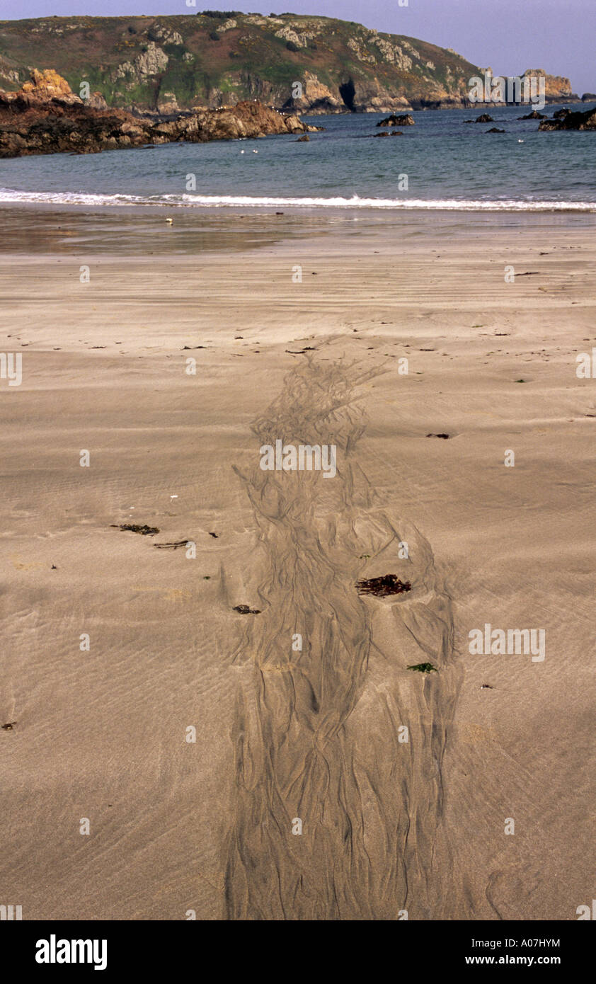 STREAM PATTERN FORMED BY WATER FLOWING ACROSS BEACH SANDS Stock Photo ...