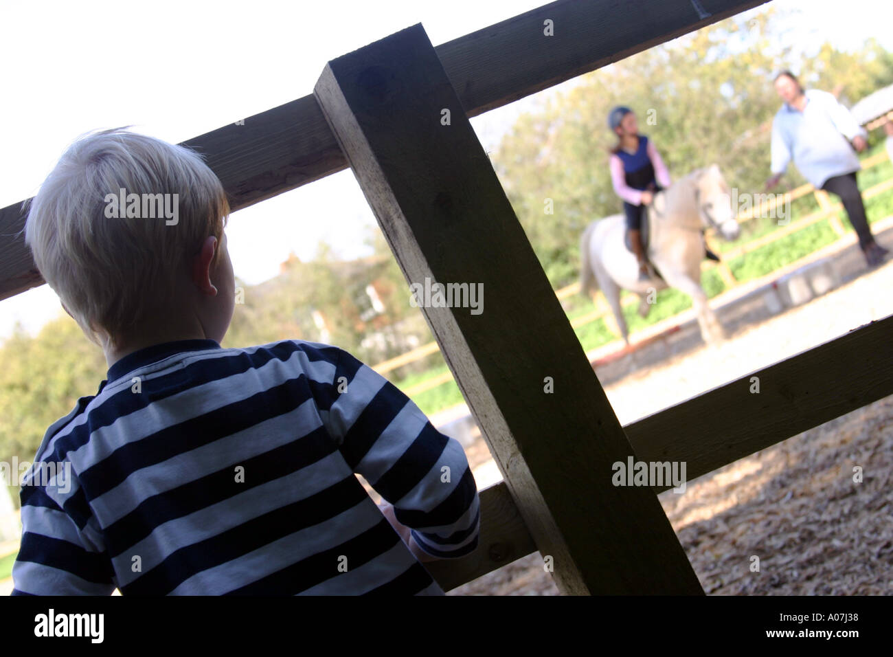 3 year old boy watching girl having riding lesson Stock Photo - Alamy