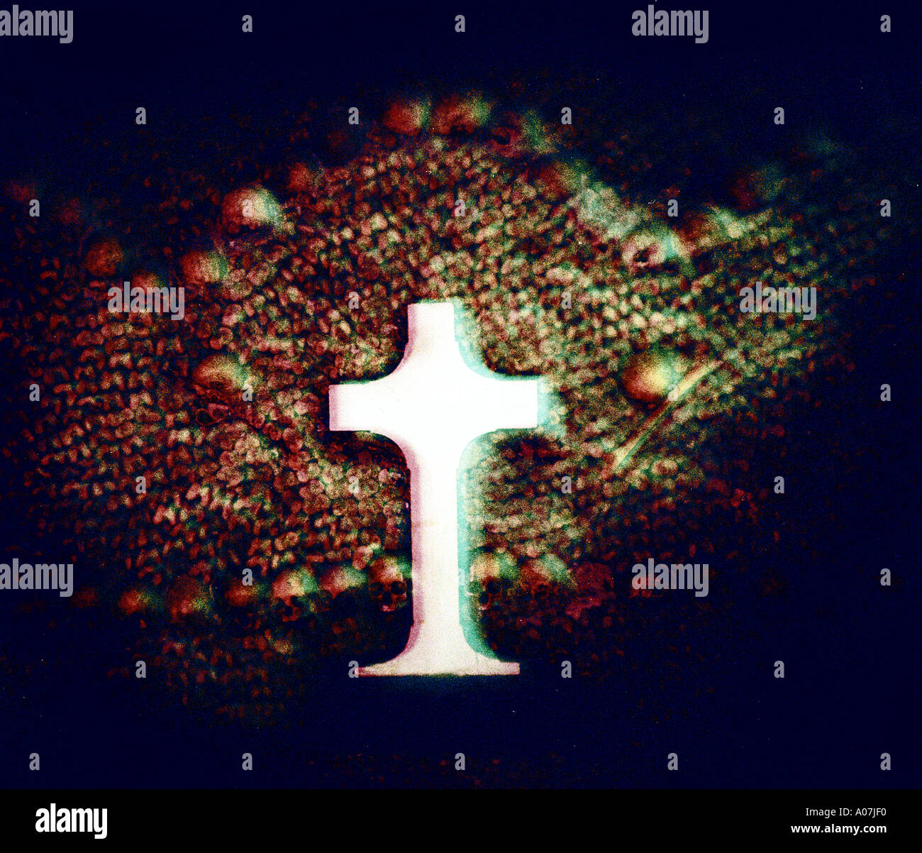 Wall, Underground, Mystery, Death, Horror, Horizontal, Indoors, Skull ...