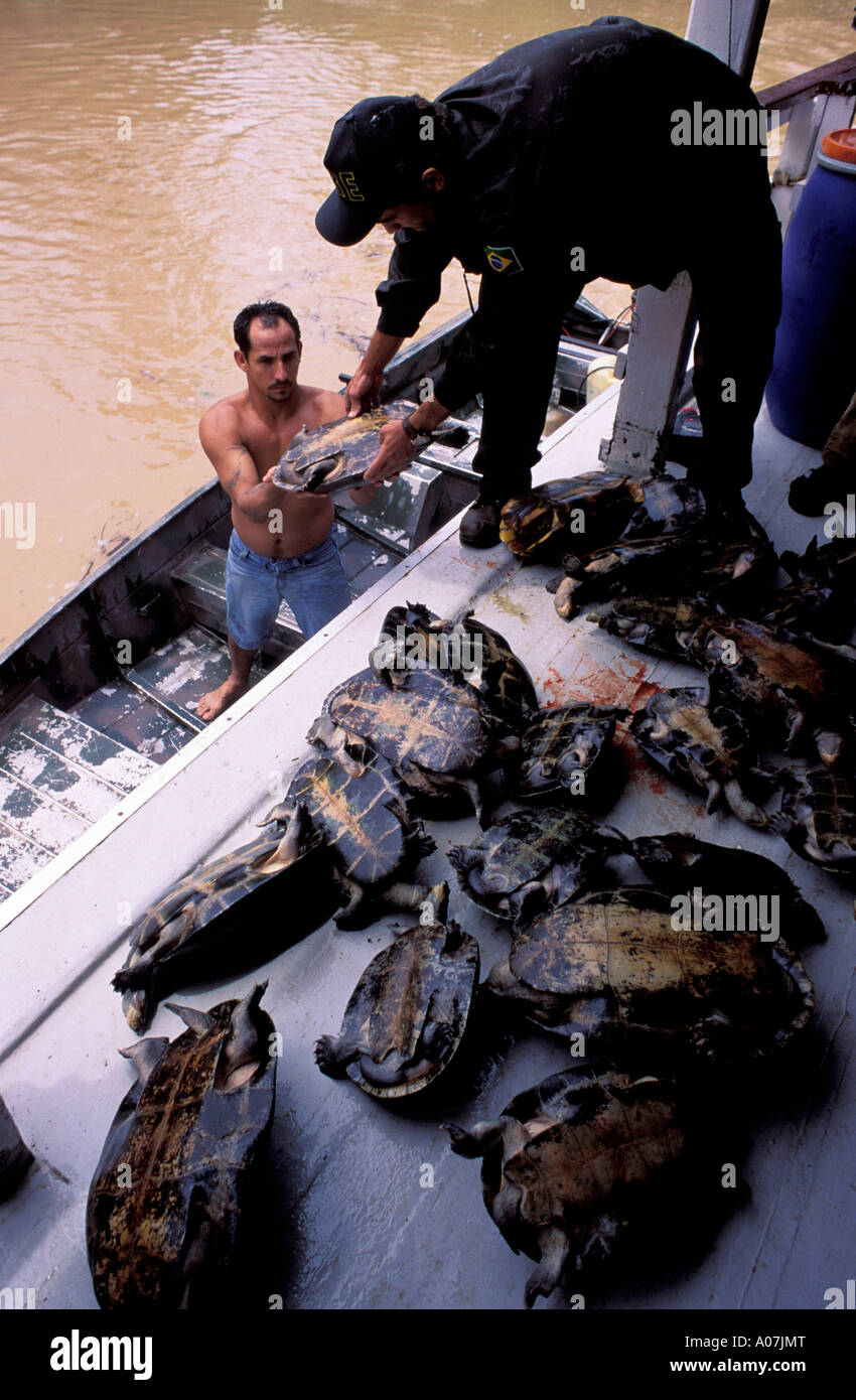 Brazilian environmental police seize illegal hunt in Amazon rainforest ...