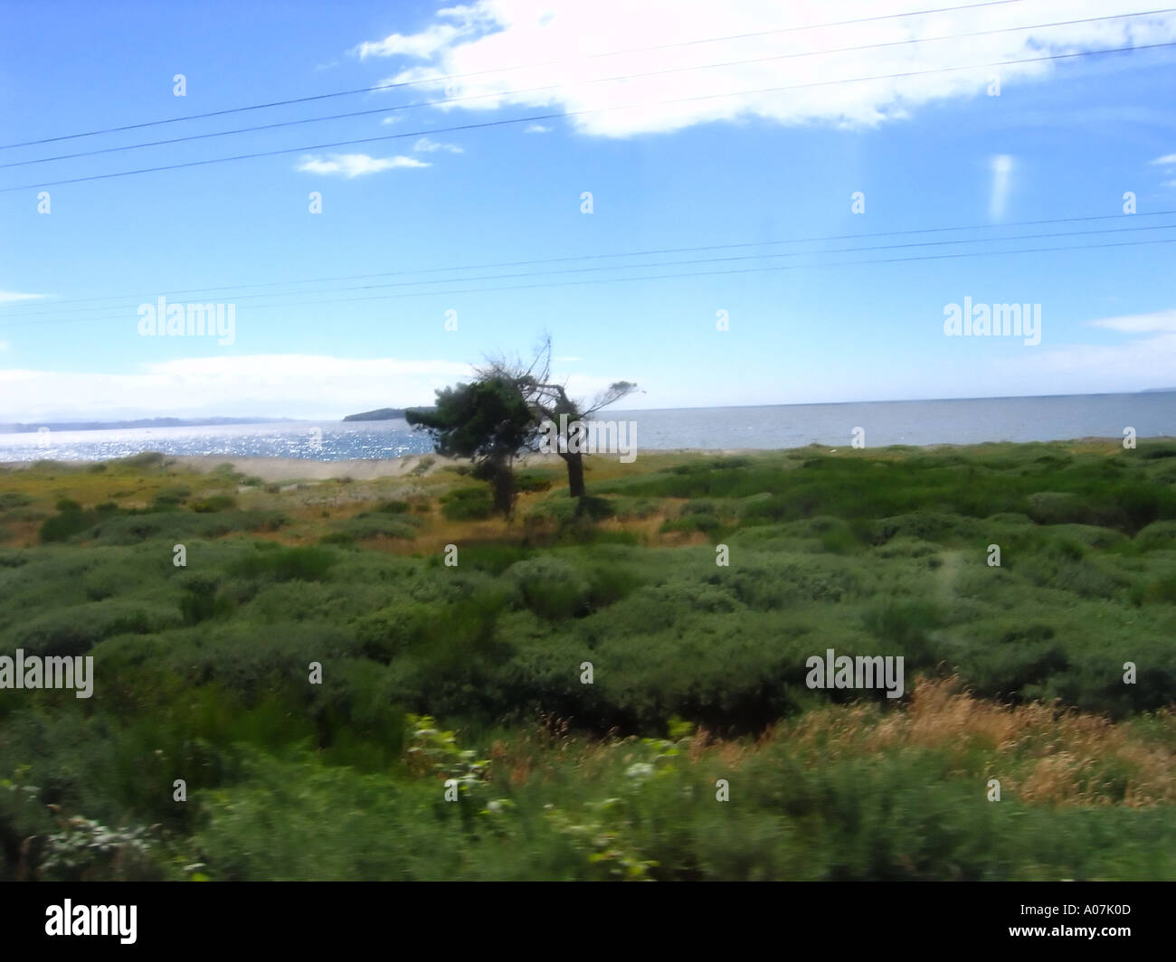 countryside and view of the ocean Chiloe Chile South America Stock ...
