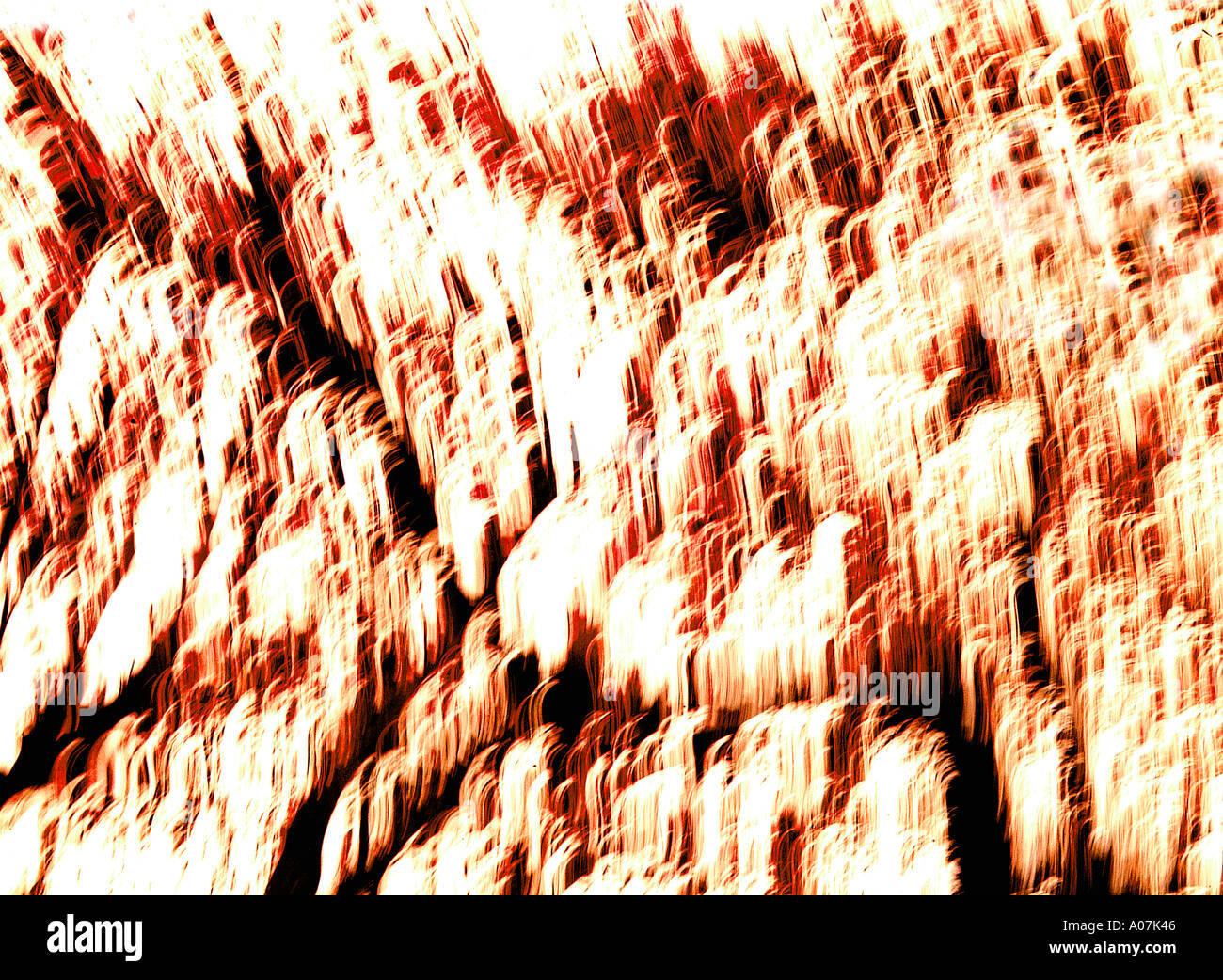 Colour abstract background photographs of various natural elements ...