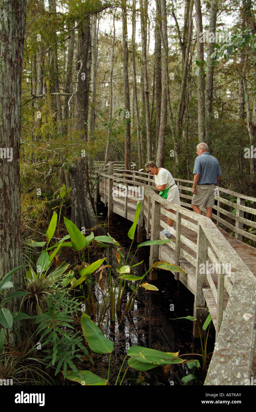 Corkscrew Swamp Sanctuary Naples Florida USA Visitors checking out the ...