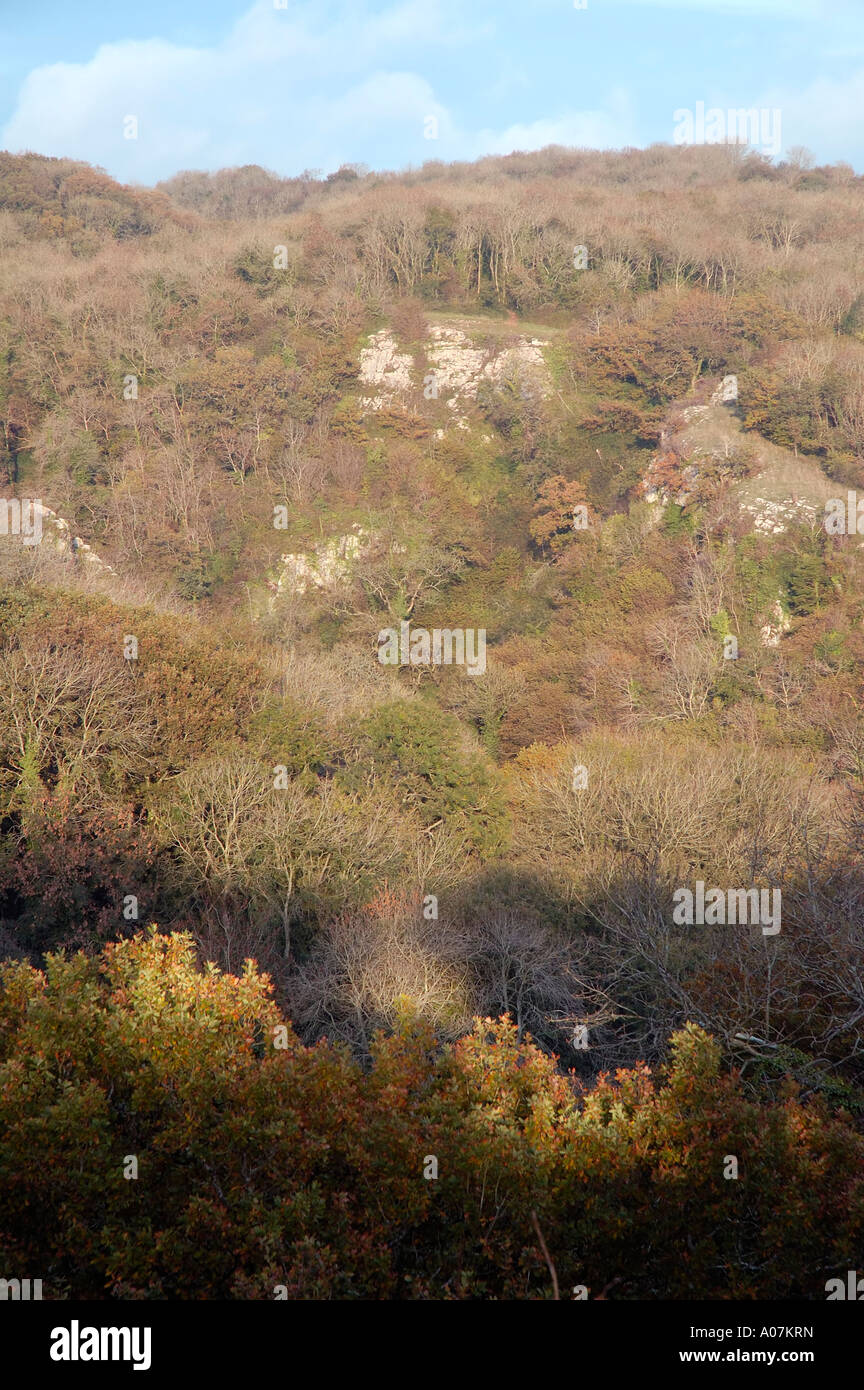 Ebbor Gorge High Resolution Stock Photography and Images - Alamy