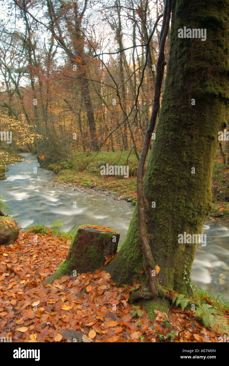 Lyd river valley hi-res stock photography and images - Alamy