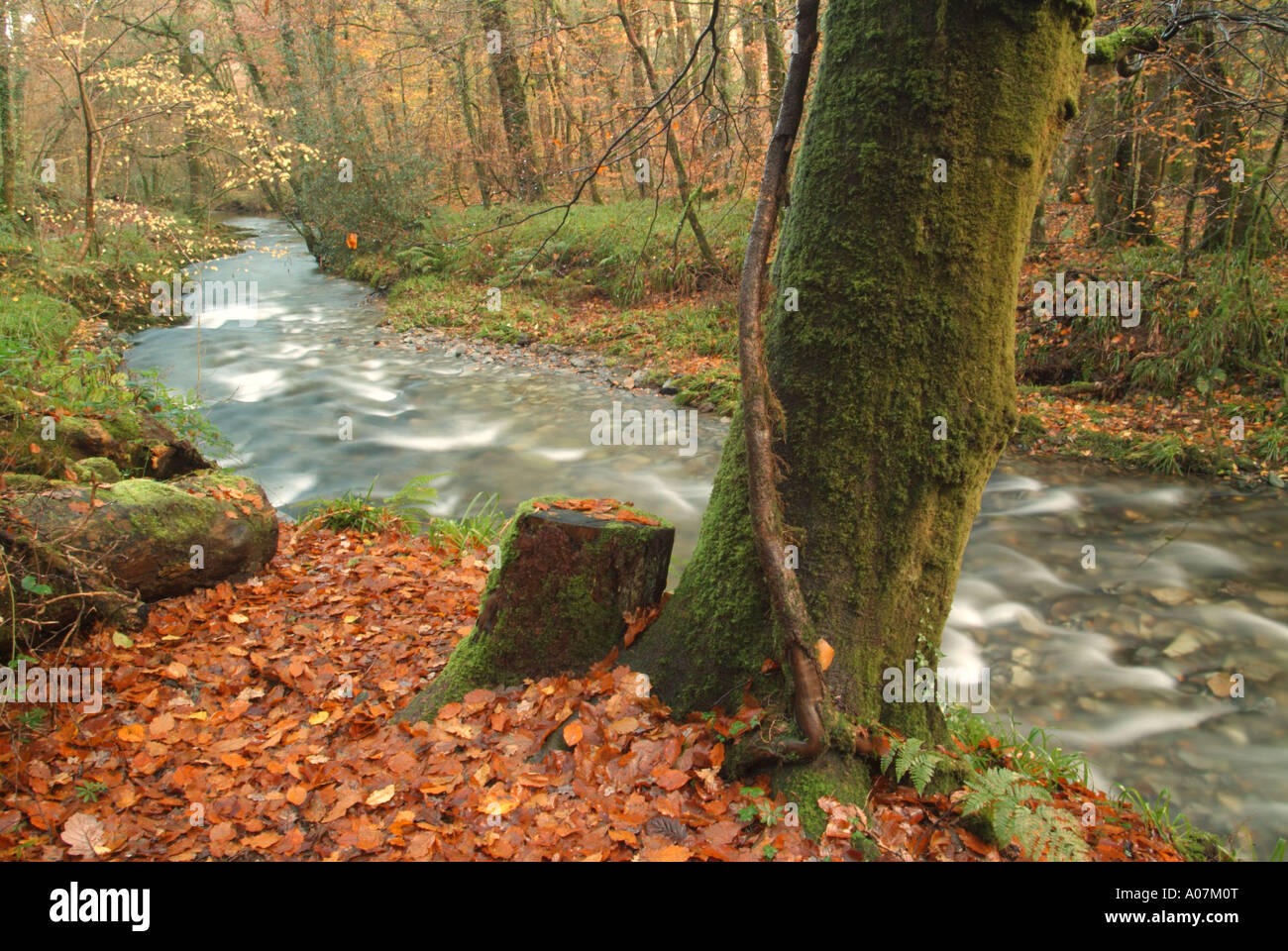 Lyd river valley hi-res stock photography and images - Alamy
