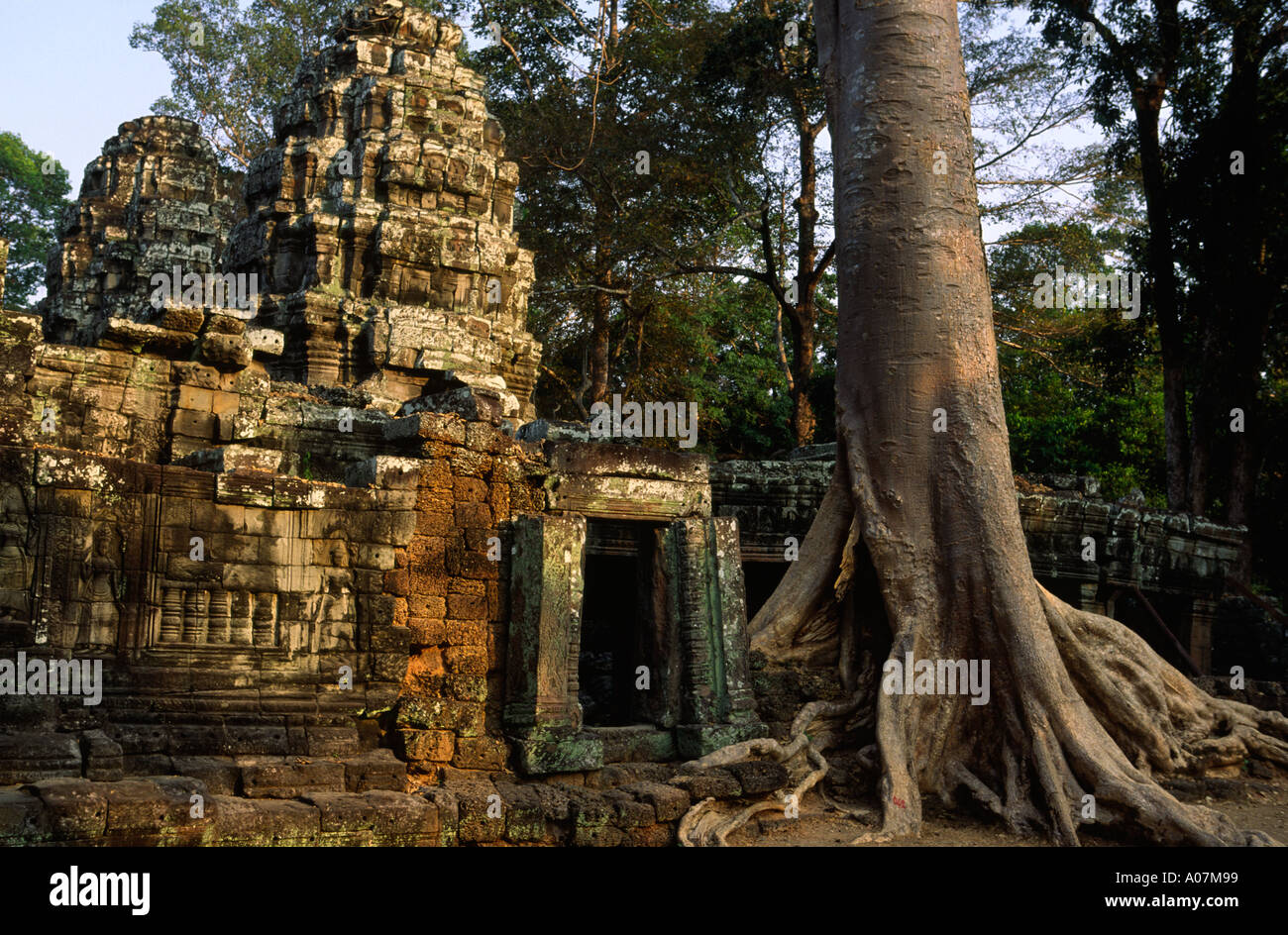 Ta Prohm Temple Cambodia 2 Stock Photo - Alamy