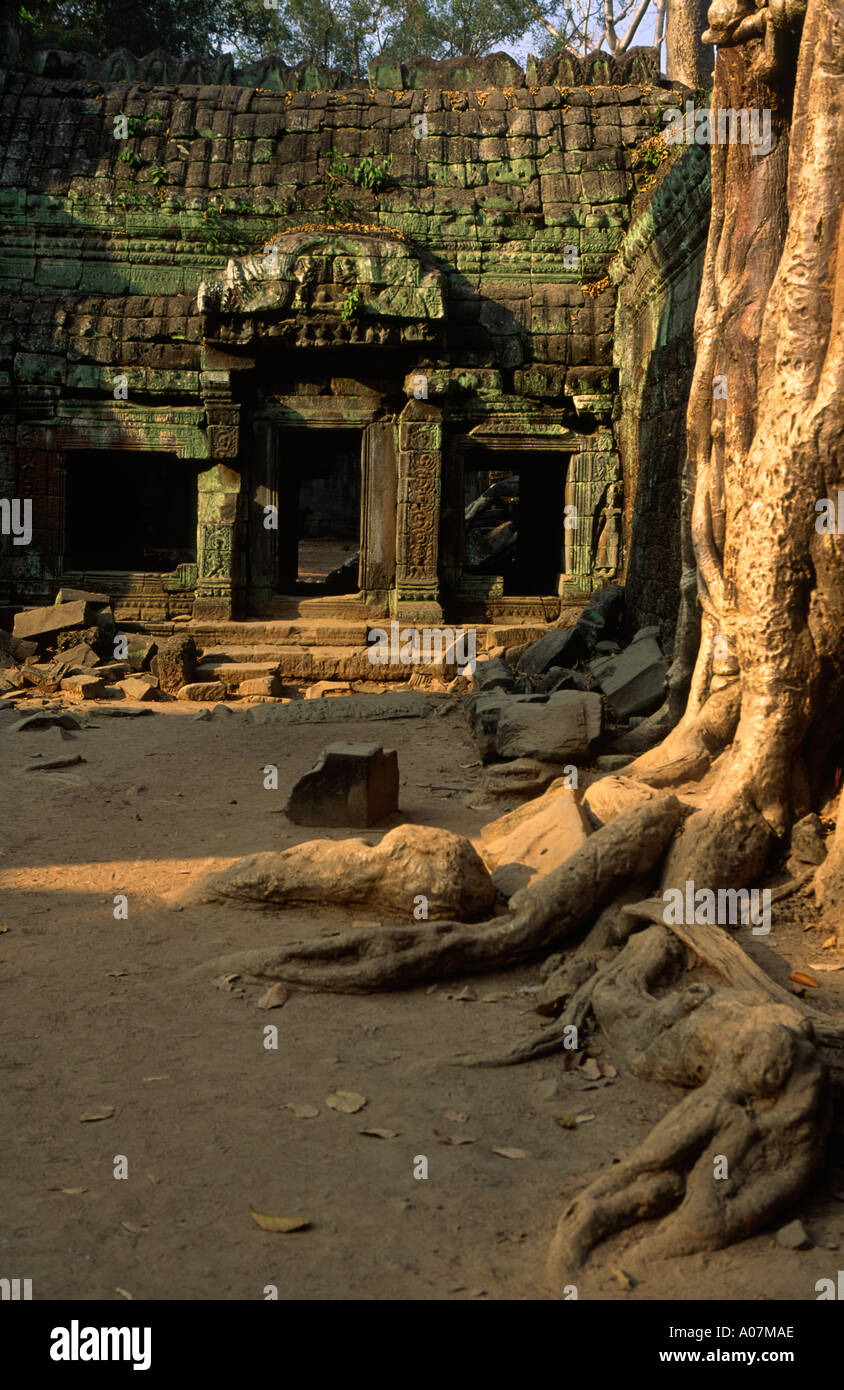 Ta Prohm Temple Cambodia 6 Stock Photo - Alamy