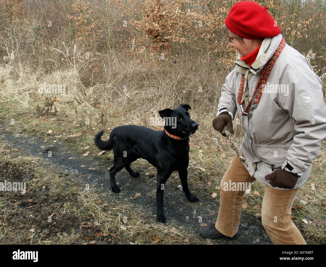 Friends taking dogs for a walk hi-res stock photography and images - Alamy