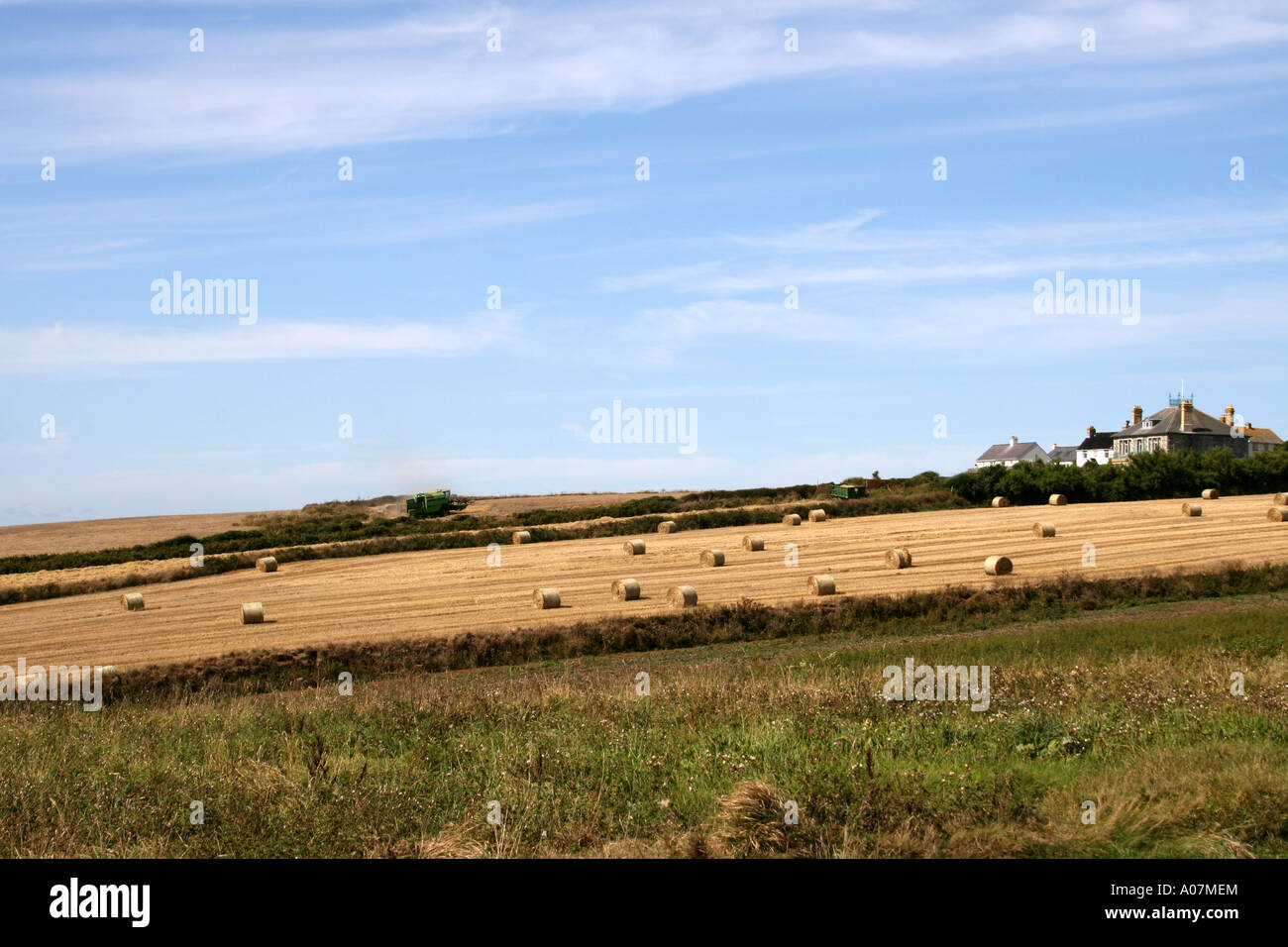 Farming lizard cornwall hi-res stock photography and images - Alamy