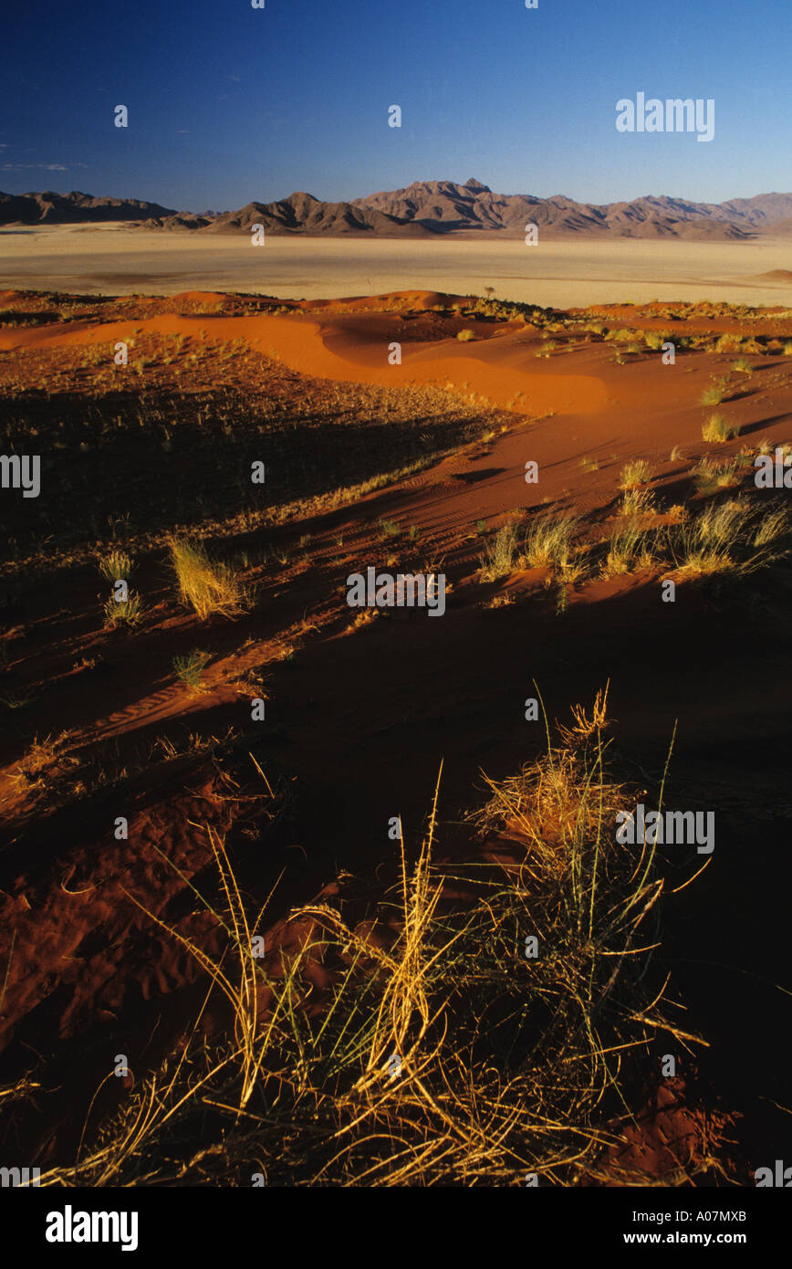 Desert Landscape Namibia Stock Photo - Alamy