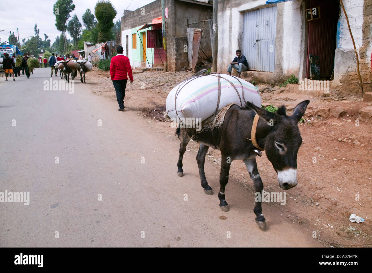 Donkeys carry sacks through the streets of Addis Abbaba Ethiopia Stock ...
