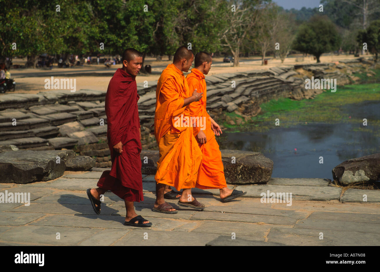 King suryavarman prasat tower mausoleum pyramid god king trees hi-res ...