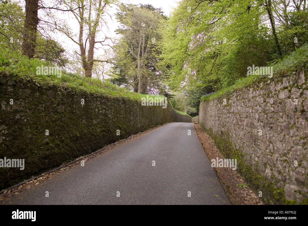 Wall lined road hi-res stock photography and images - Alamy
