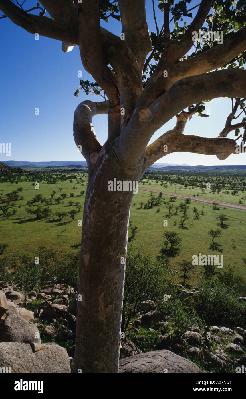 Grootberg pass hi-res stock photography and images - Alamy