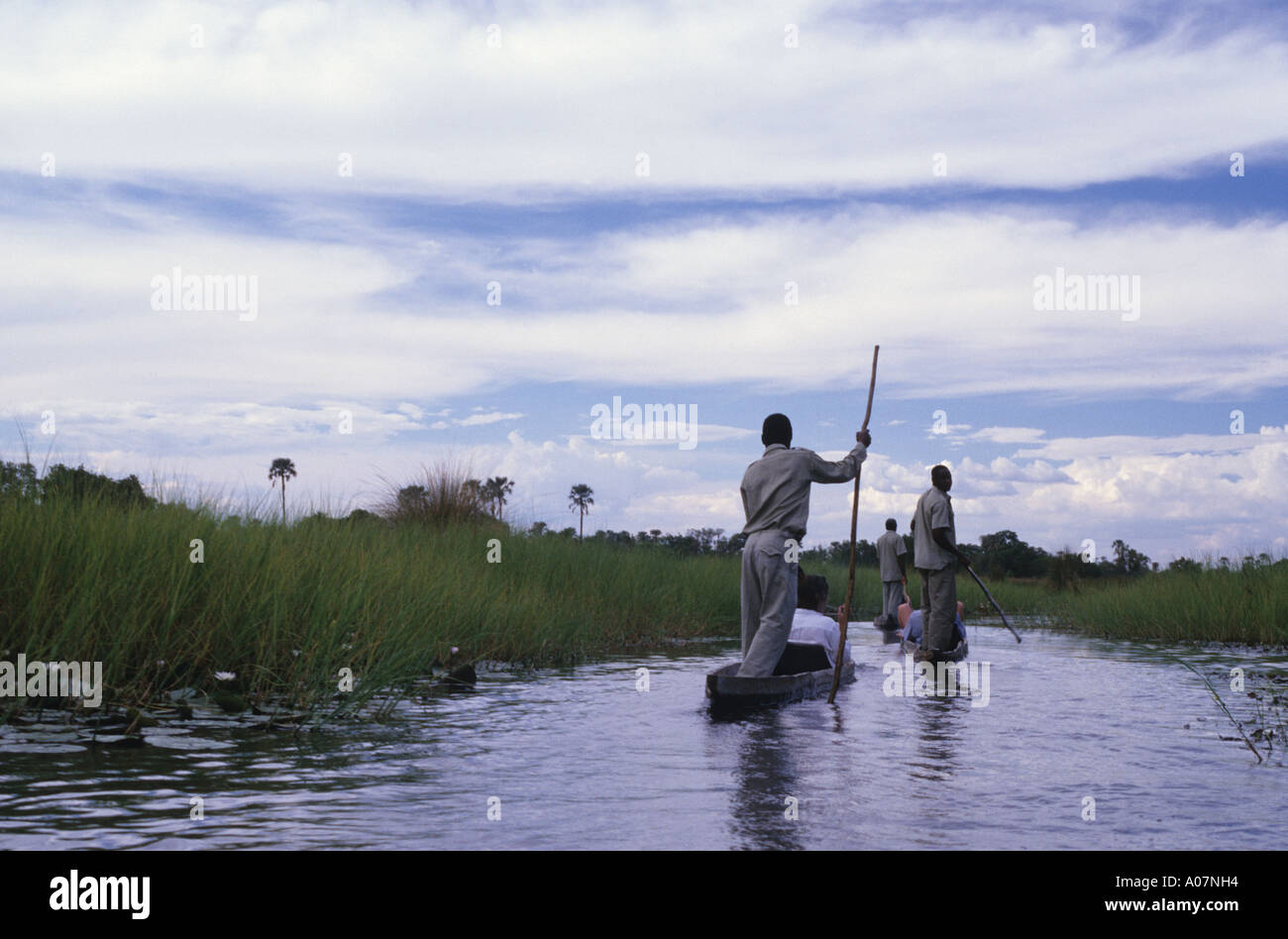 Polers High Resolution Stock Photography and Images - Alamy