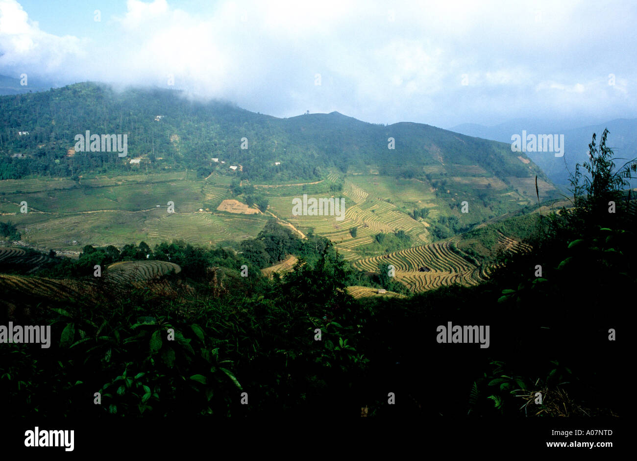 Sapa Landscape Vietnam Stock Photo - Alamy