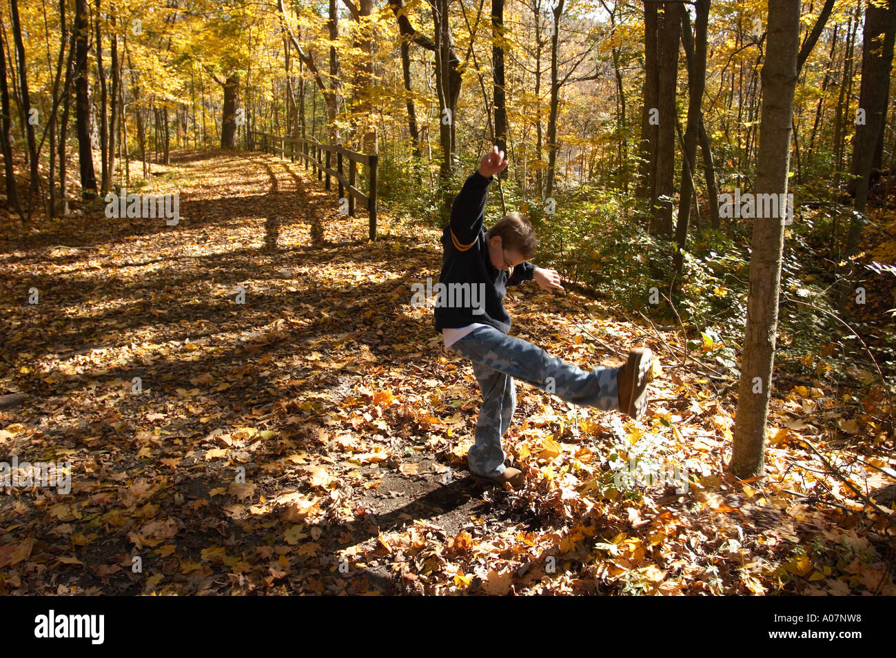 A boy kicking autumn leaves into the air in a forest Stock Photo - Alamy