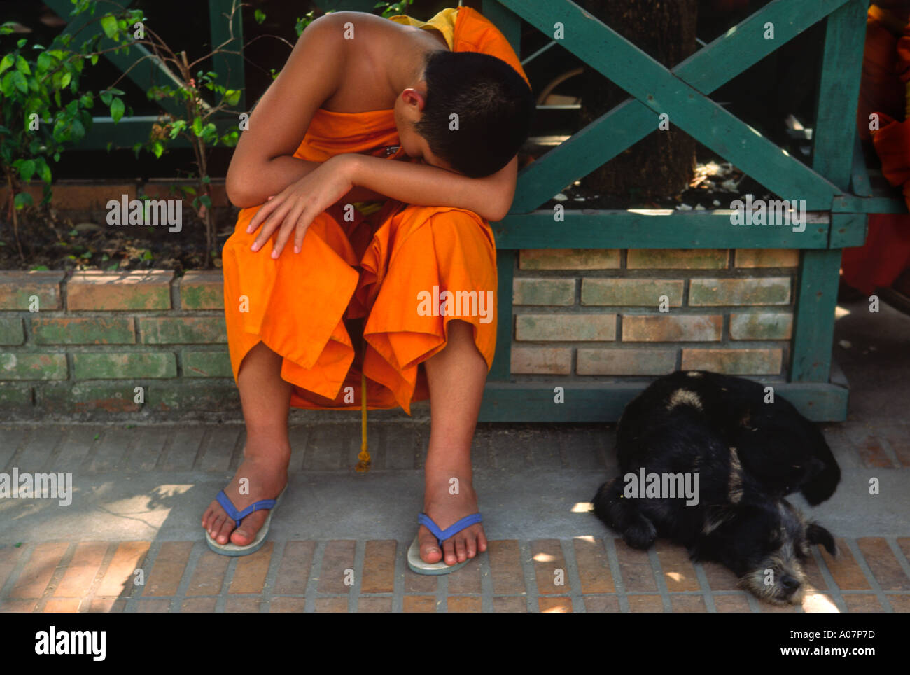 Monk sleeping hi-res stock photography and images - Alamy