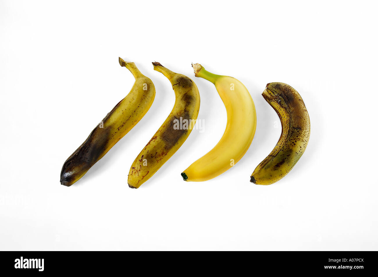 Make the right choice Rotten bananas and good one on white background ...