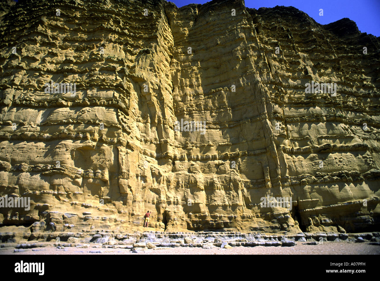 Figure of fossils hi-res stock photography and images - Alamy
