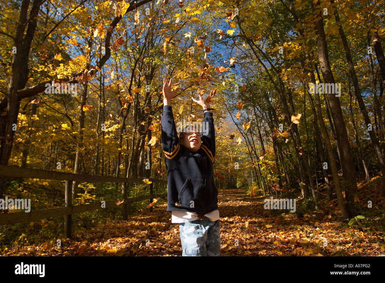 Happy boy throwing yellow leaves hi-res stock photography and images ...