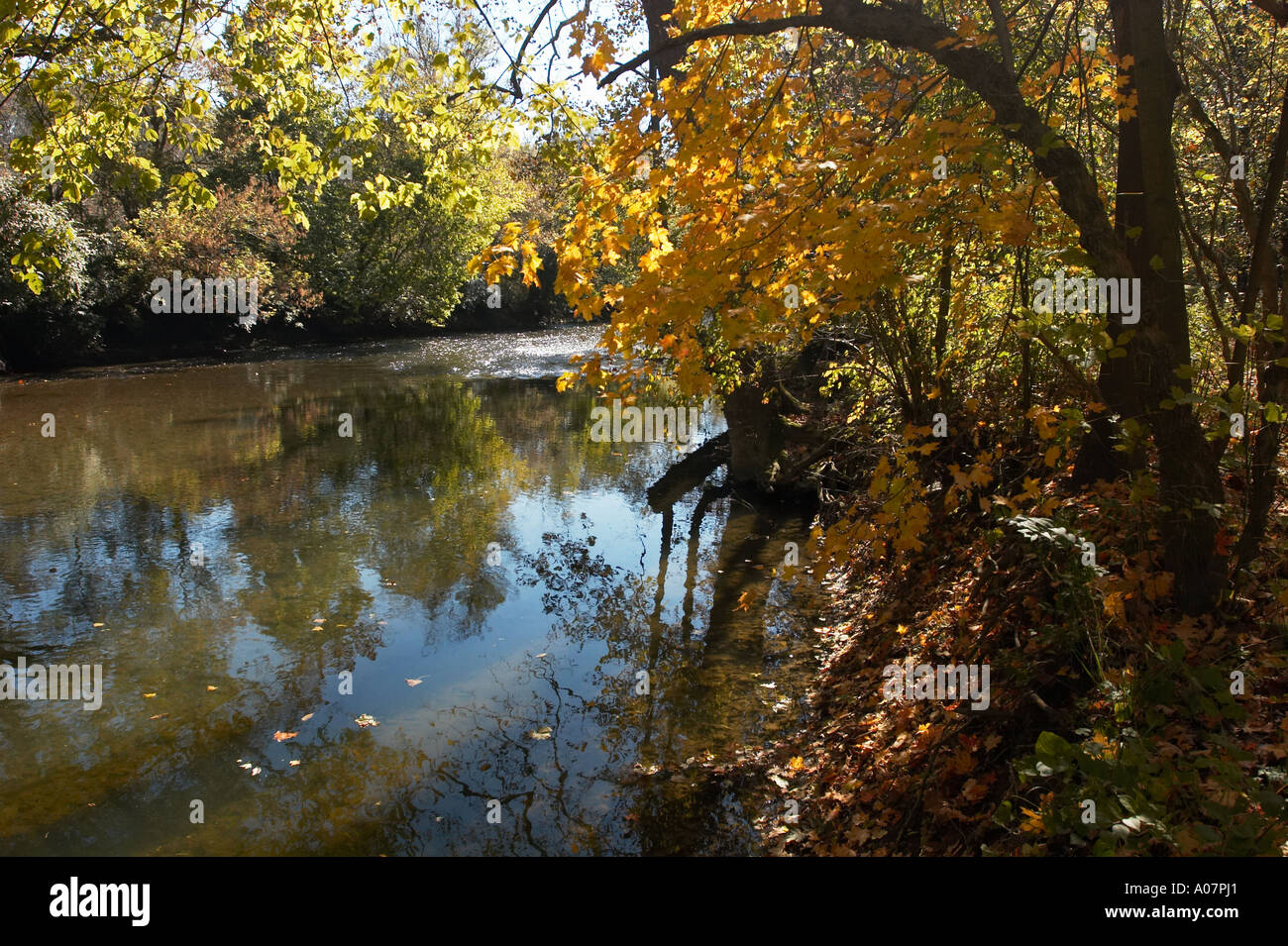 An autumn landscape with trees and river and reflections Stock Photo ...