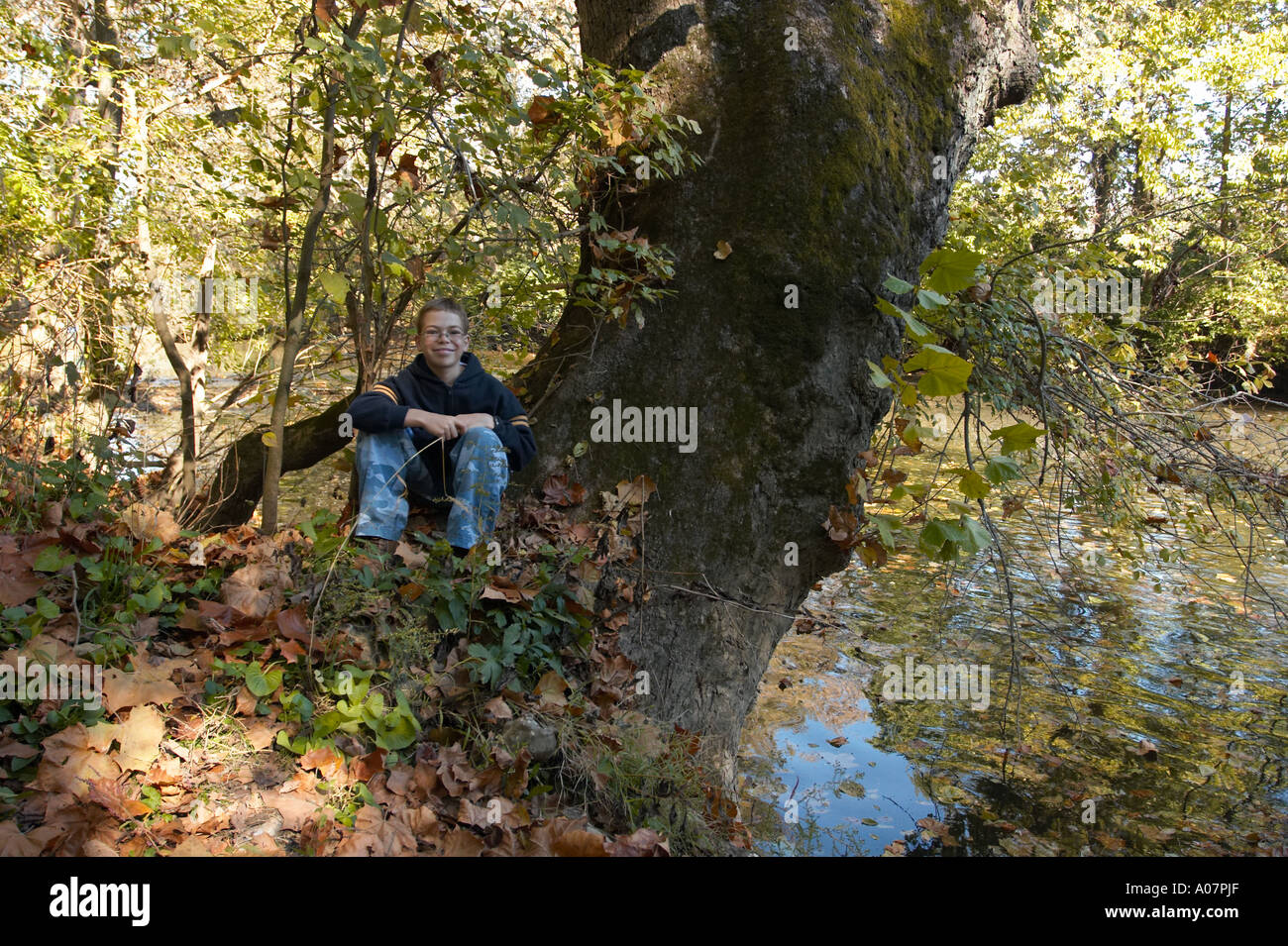 A boy sitting on a sycamore tree by a river in autumn Stock Photo - Alamy