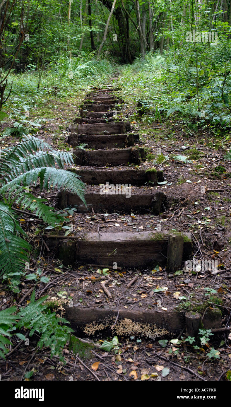 Pathway through the hills hi-res stock photography and images - Alamy