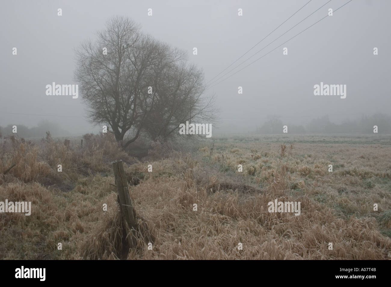 Early morning Frost in Kent Fields Stock Photo - Alamy