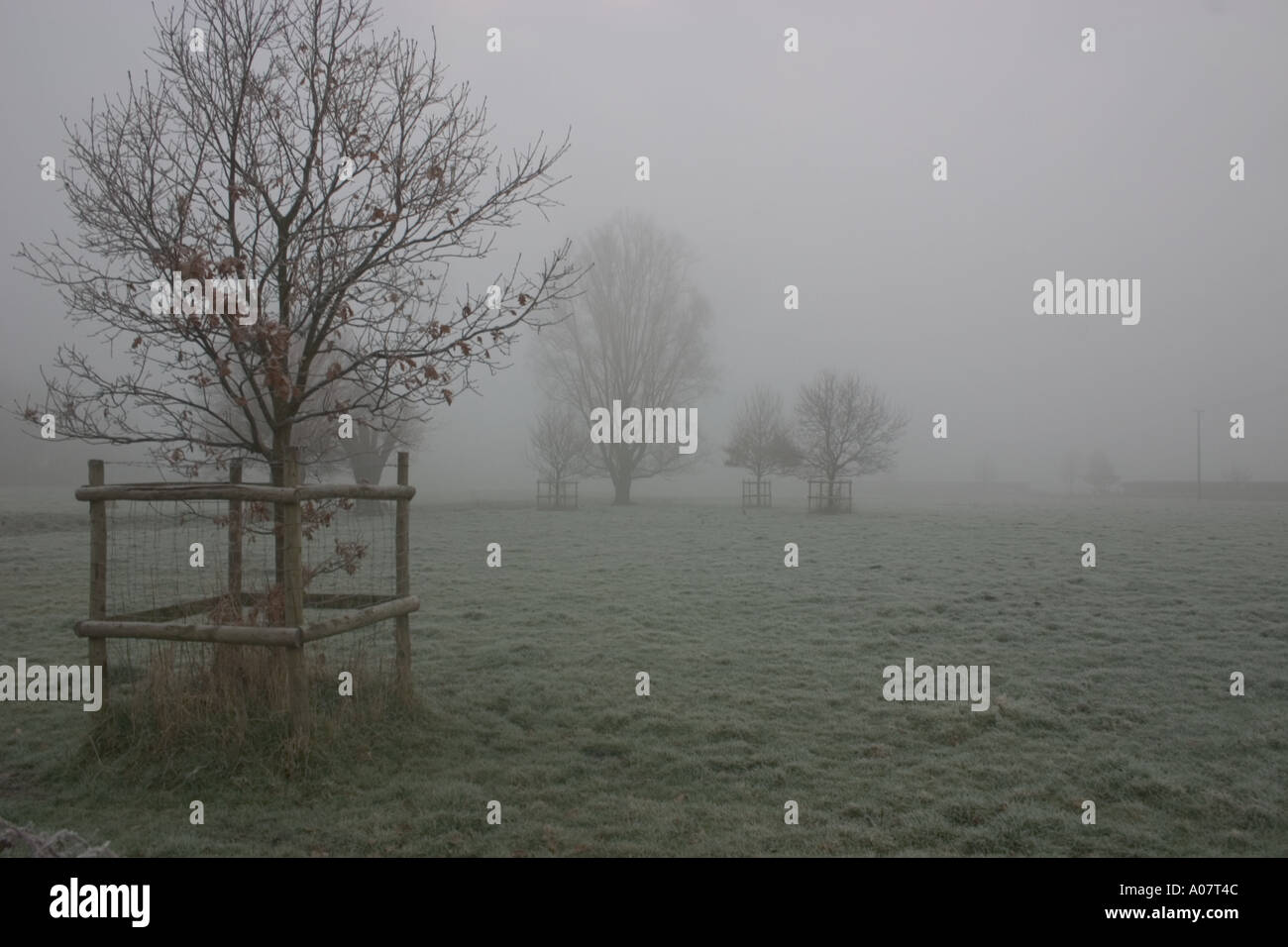 Early morning Frost in Kent Fields Stock Photo - Alamy