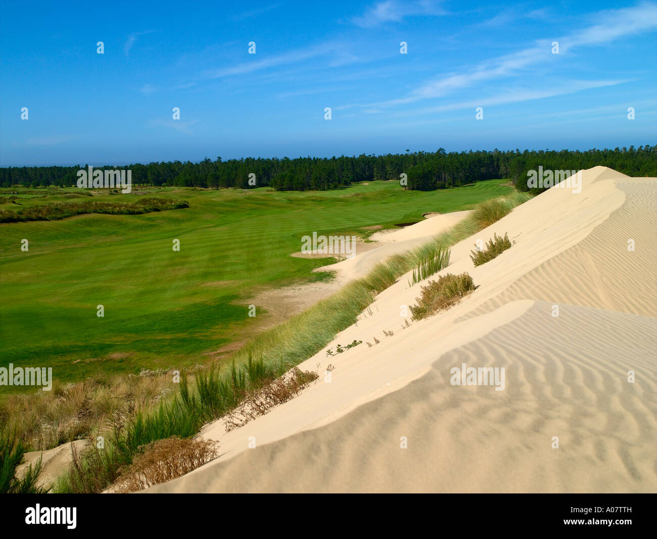 Beach, Florence Sand Dunes & Golf Course Stock Photo - Alamy