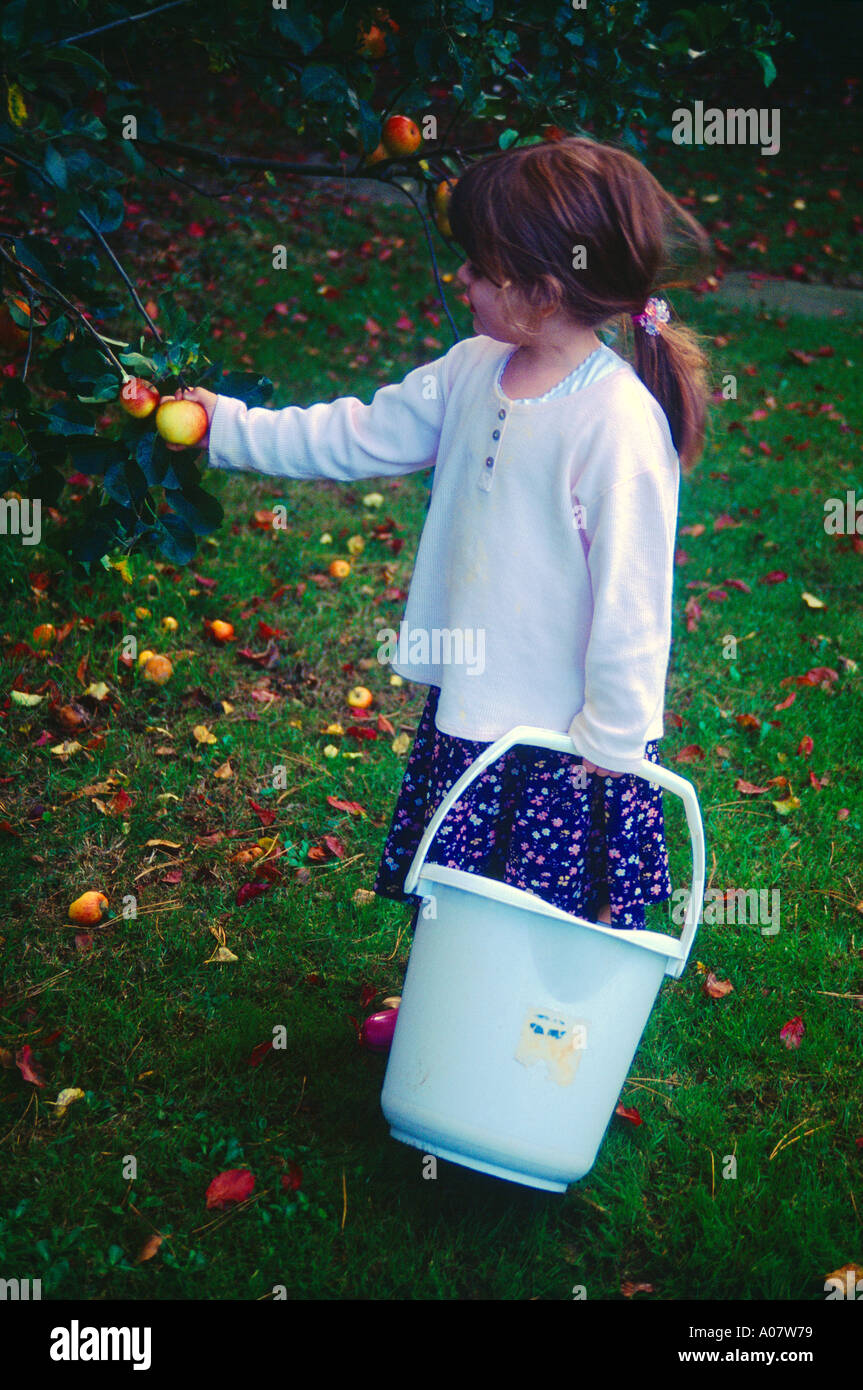 Child Picking Apples From Tree Stock Photo - Alamy