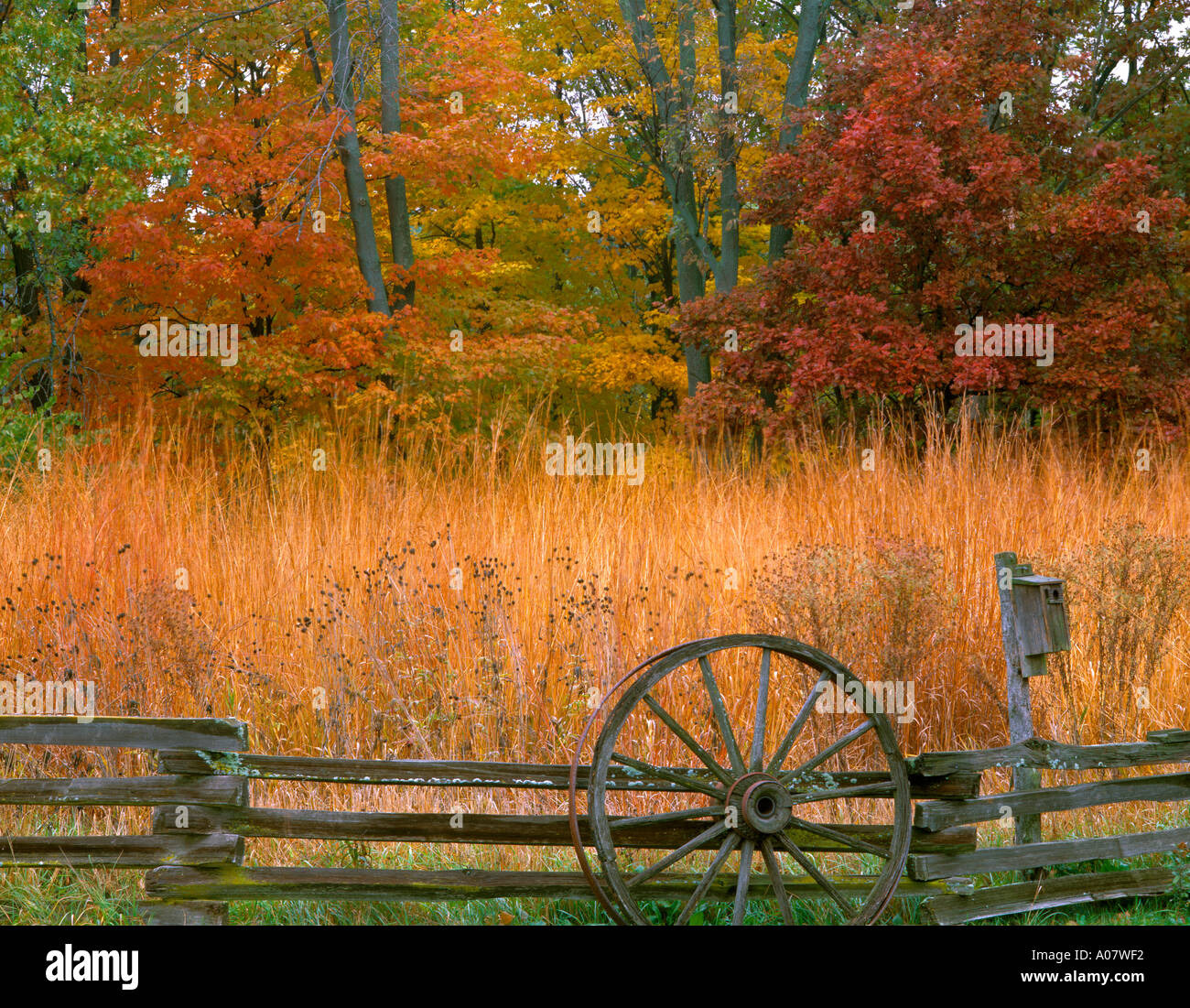 Split rail fence wagon wheel hi-res stock photography and images - Alamy