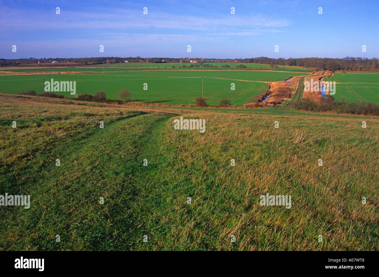 Reclaimed marshland hi-res stock photography and images - Alamy