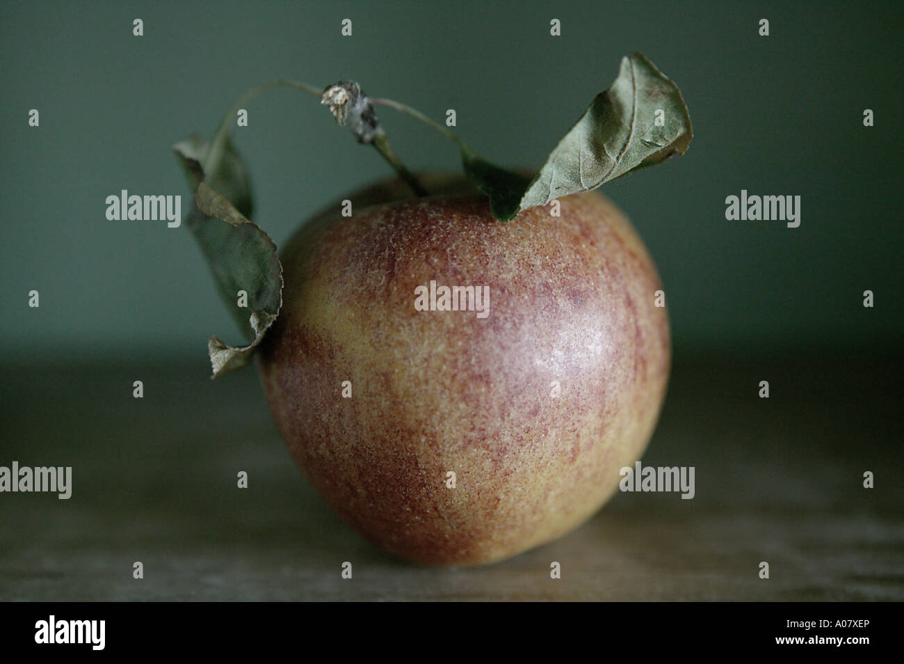 Single apple placed on an indoor kitchen shelf with leaves still ...