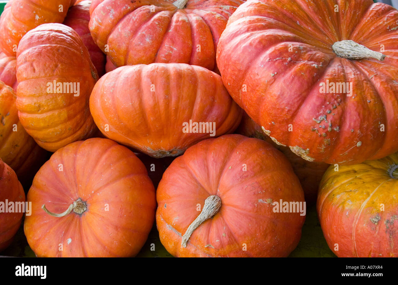 Pile of mexican squash pumpkin Stock Photo - Alamy